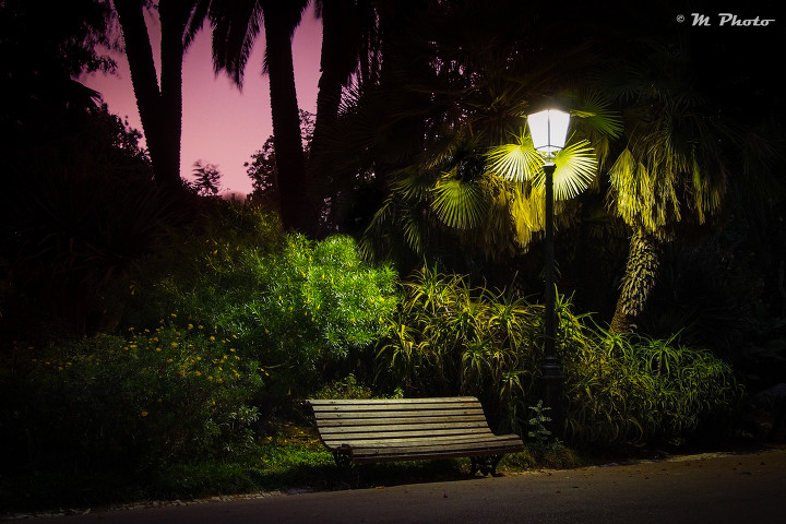 Sunset Garden by mphoto.bm.5 | BeFunky Photo Gallery