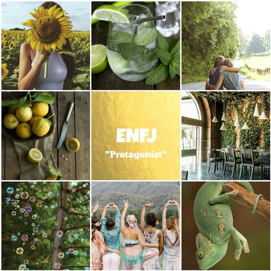 ENFJ Aesthetics | Digital photo frame, Enfj, Color effect